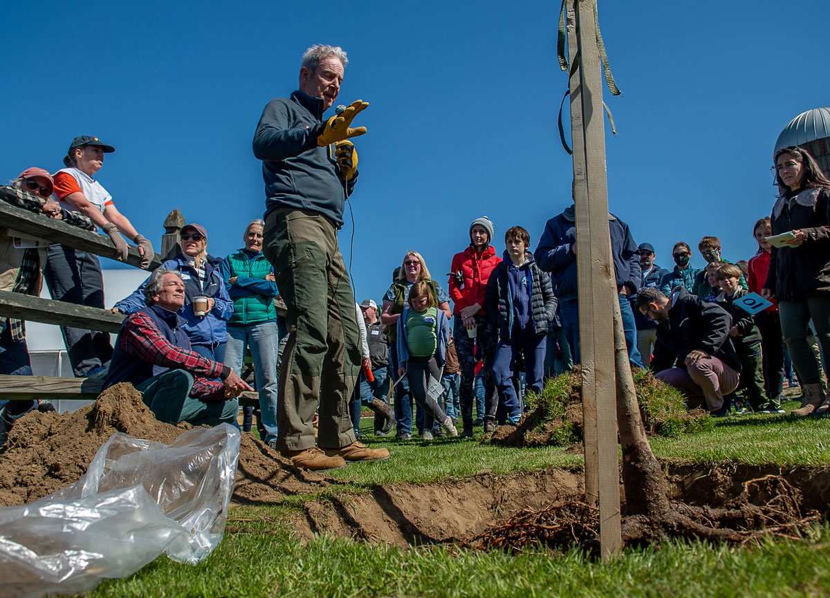 Plant Trees with Sustainable Saratoga at TREE TOGA on Saturday, April ...