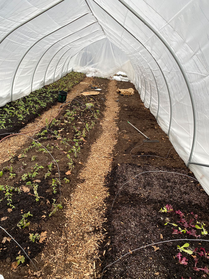 Perfect Plant Farm: A holistic take on farm-to-table food - Saratoga ...